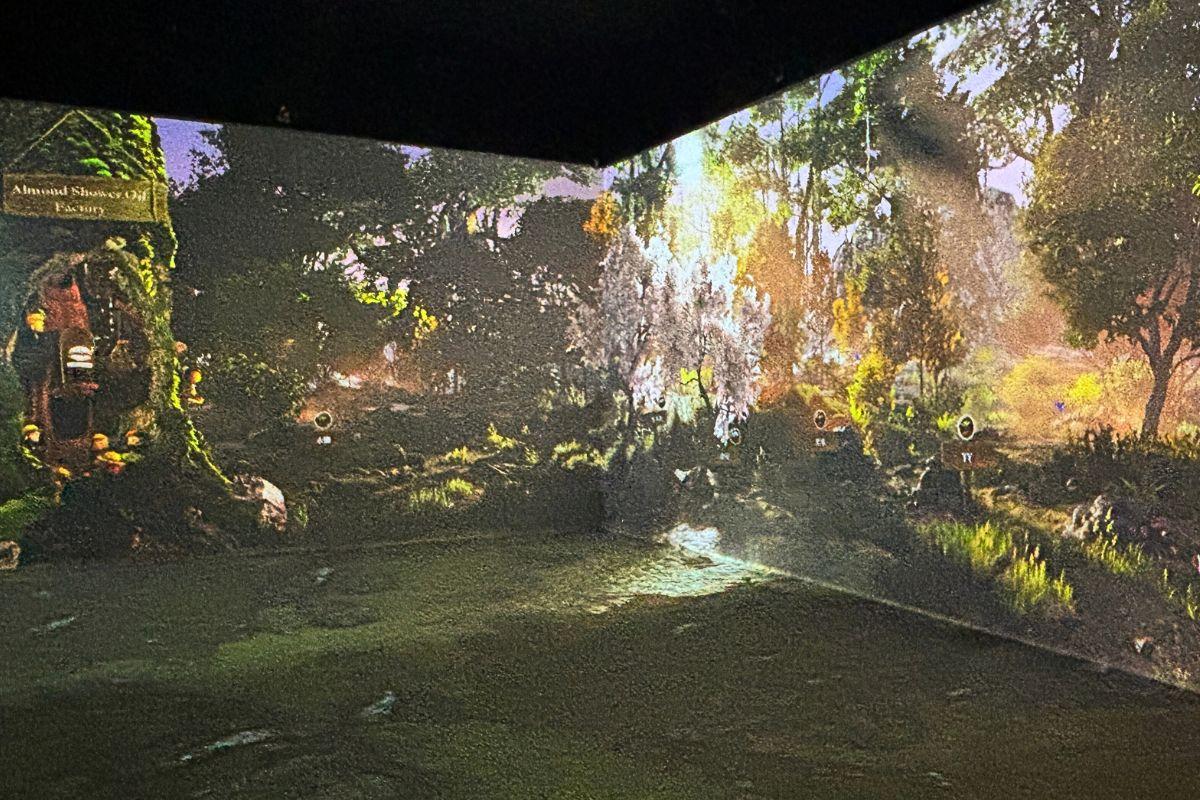 Create a unique exhibition experience with an immersive weekend, co ...